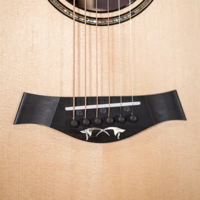 Taylor 914ce Special Edition Rosewood/Sitka Acoustic/Electric | Reverb