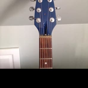 Arbor Flying V 1983 Blueburst | Reverb