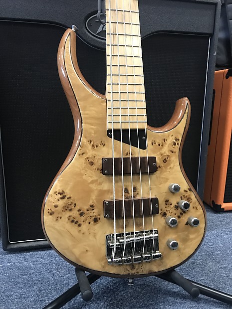 MTD Kingston Z5 5 String Electric Bass Natural Gloss Burled | Reverb