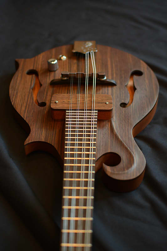 Electric Mandolin Darkwood USA F Style Semi Hollow - MADE IN | Reverb