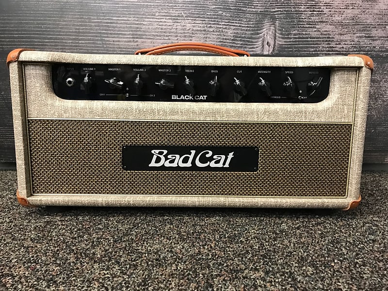 Badcat Black Cat combo Guitar Combo Amplifier (Springfield, | Reverb