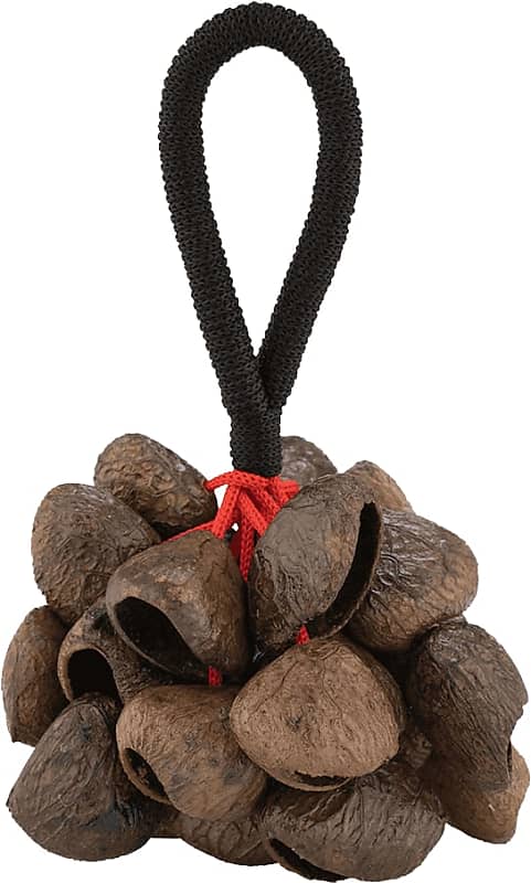 Pearl PBPGRH14 - Nut shaker pangi avec poignée | Reverb