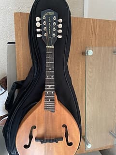 Gretsch G9310 New Yorker Supreme Mandolin G9310 1985 - Wood | Reverb