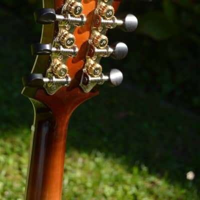 Bulas F5 mandolin 2022 - sunburst / pickup | Reverb