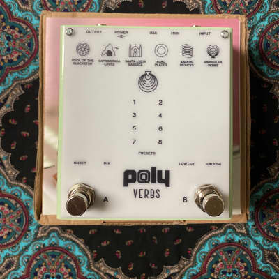 Poly Verbs 2024 | Reverb