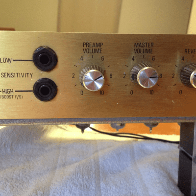 Extremely Rare Marshall 2144 JMP Combo built in 1979 | Reverb