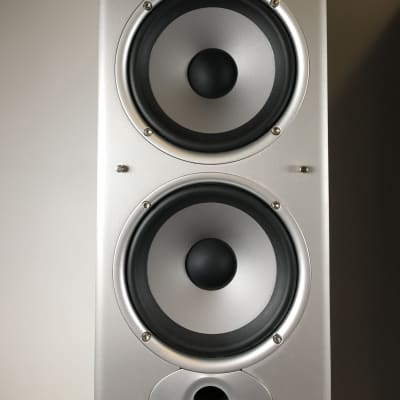 Polk Audio RTi8 Floorstanding Loudspeakers | Reverb