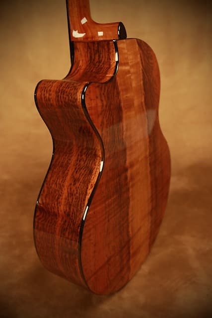 Schenk GK23 Tiger Myrtle 2023 | Reverb