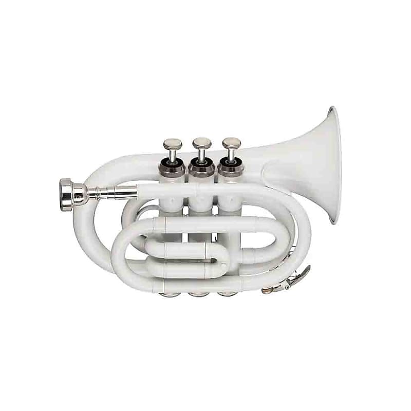 Stagg WS-TR249S ML-Bore, Brass Body Bb Pocket Trumpet w/Soft | Reverb