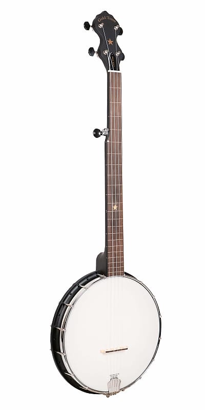 Gold Tone AC-1FL Fretless 5-String Openback Banjo | Reverb