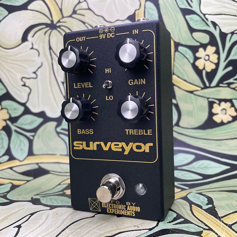 Electronic Audio Experiments Surveyor V2 | Reverb