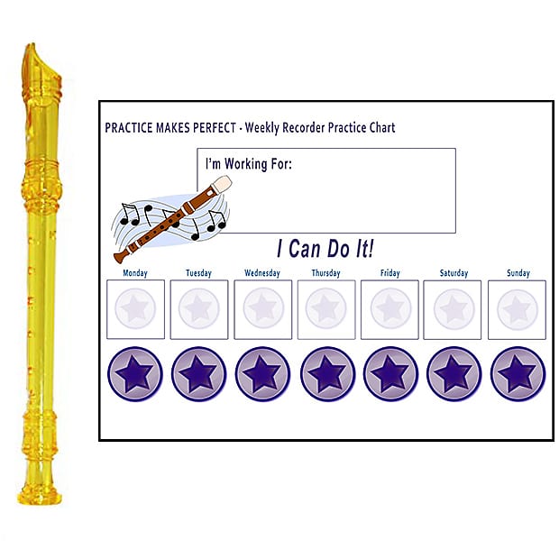 Recorder Practice Chart Blue - With Bonus Yellow Soprano | Reverb