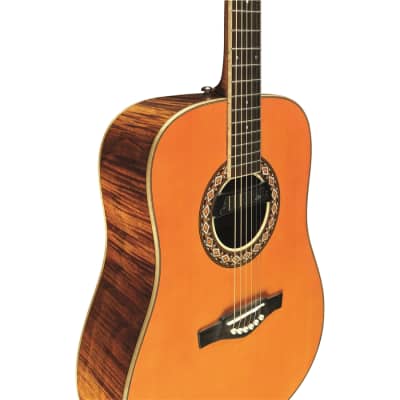 Eko Ranger Futura Electro Acoustic Guitar With Fishman Flex | Reverb