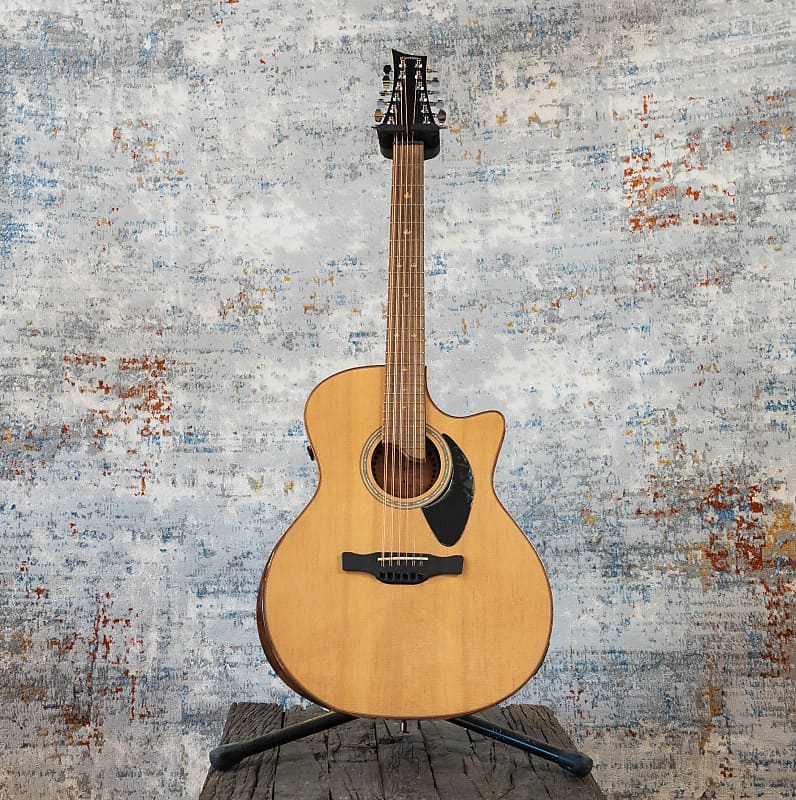 Riversong P555-A 12 string guitar | Reverb