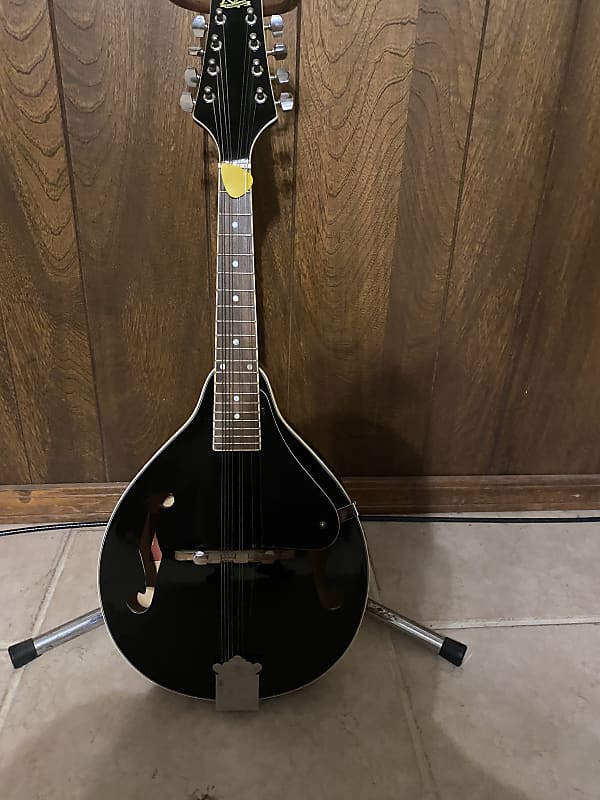 Rogue Mandolin RM-101a | Reverb