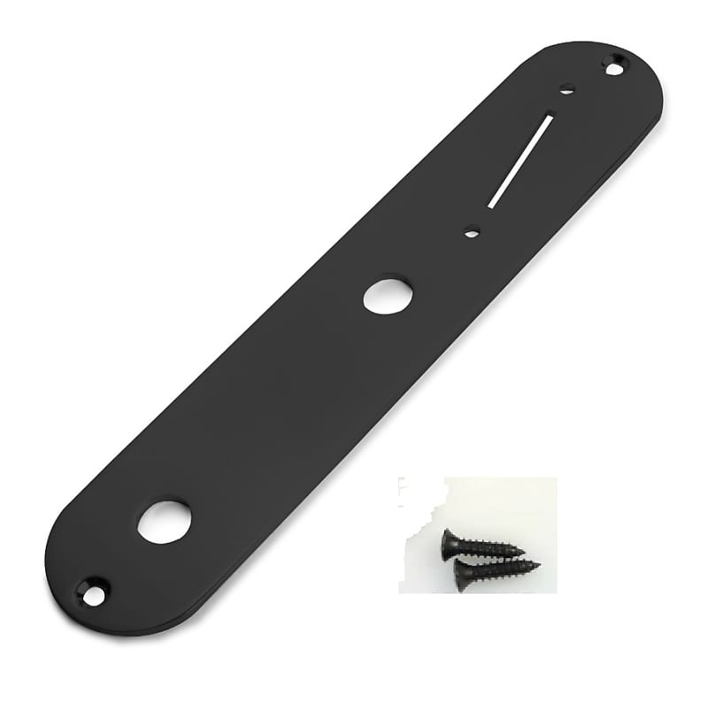 True Custom Shop® Black Slanted Switch Control Plate for | Reverb