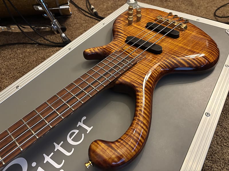 Ritter Roya 4 Bass guitar 2009 Late Lounge Finish W Flight | Reverb