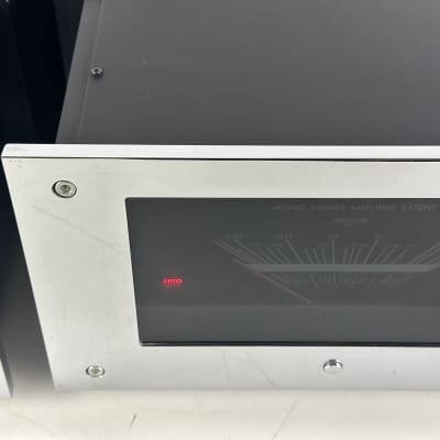 2x Restek Extent Mono Endstufe / Power Amplifier | Reverb