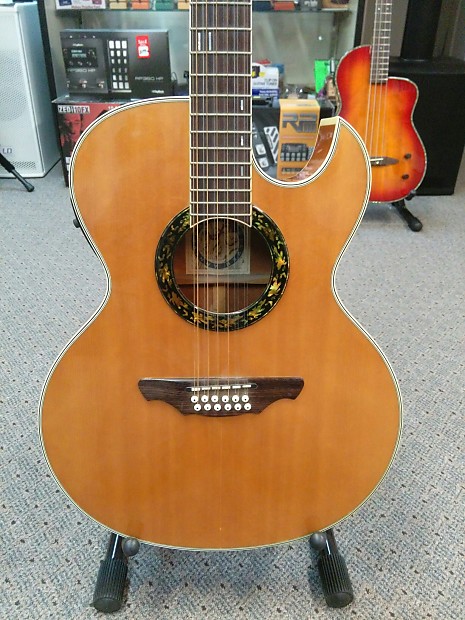 Alvarez Silver anniversary 12 String Model# 255512 | Reverb