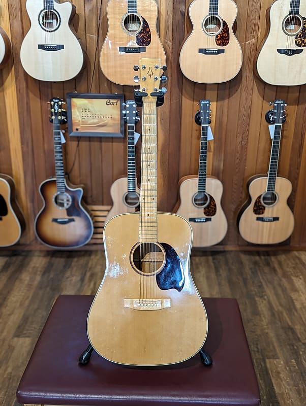 Daion Mugen Series Mark III Dreadnought Acoustic Guitar | Reverb