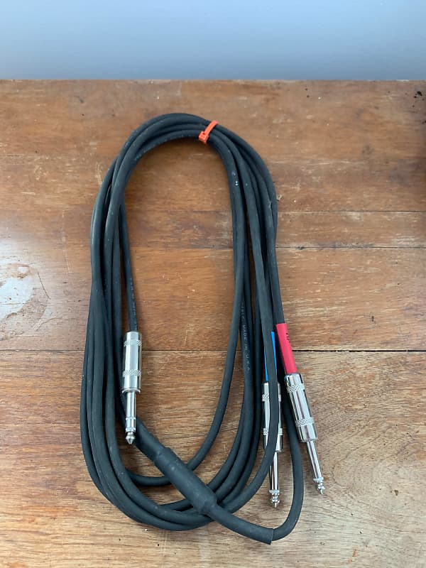 VTG Audio Stero to 2 Mono 1/4" 6' Ring Tip | Reverb