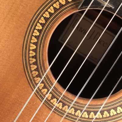 2010 David Pace "Double Top" Classical Guitar | Reverb