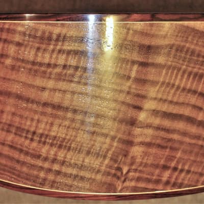 Harry Fleishman 'Dragonfly'. 1995 One of a Kind Acoustic | Reverb