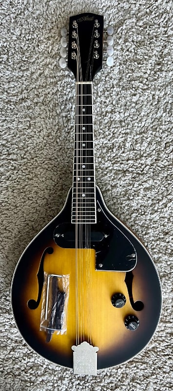 Amati A001EQ Mandolin Acoustic/Electric A-Style Mandolin | Reverb UK
