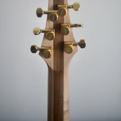 Kiesel Aeris Bolt-on 2022 Translucent Aqua Antique Ash | Reverb