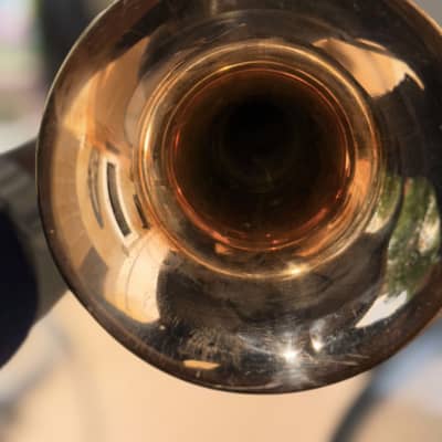 Lotus Universal Trumpet - 2024 | Reverb