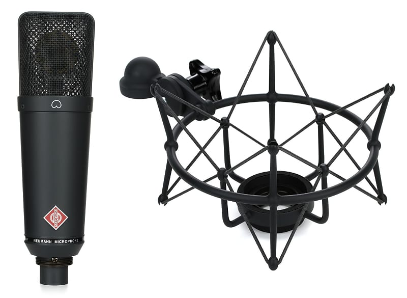 Neumann EA 1 MT - Matte Black Bundle with Neumann TLM 193 | Reverb