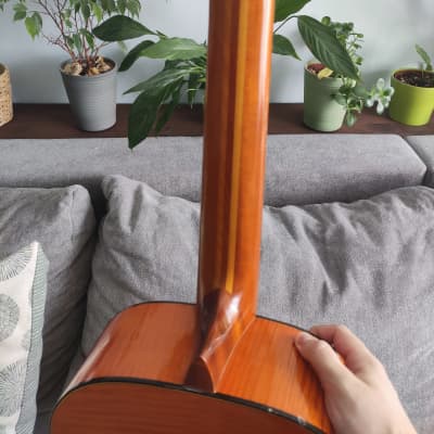 Musima Resonata 1980s + Hardcase | Reverb