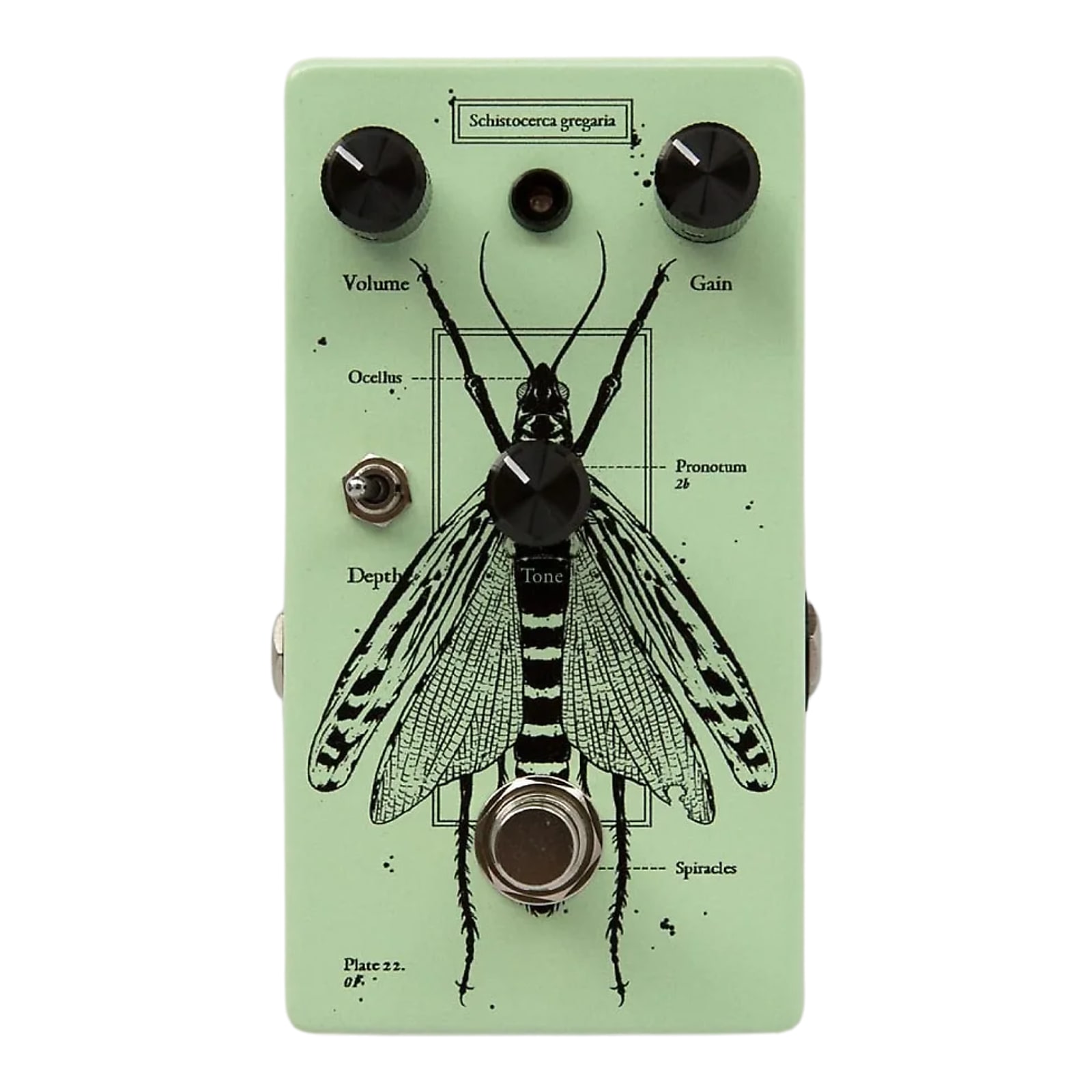 Ground Control Audio Locust Discrete Distortion | Reverb Australia
