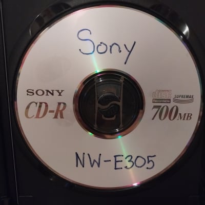 Vintage SONY Walkman Bean MP3 Player NW-E305 - See Video, | Reverb