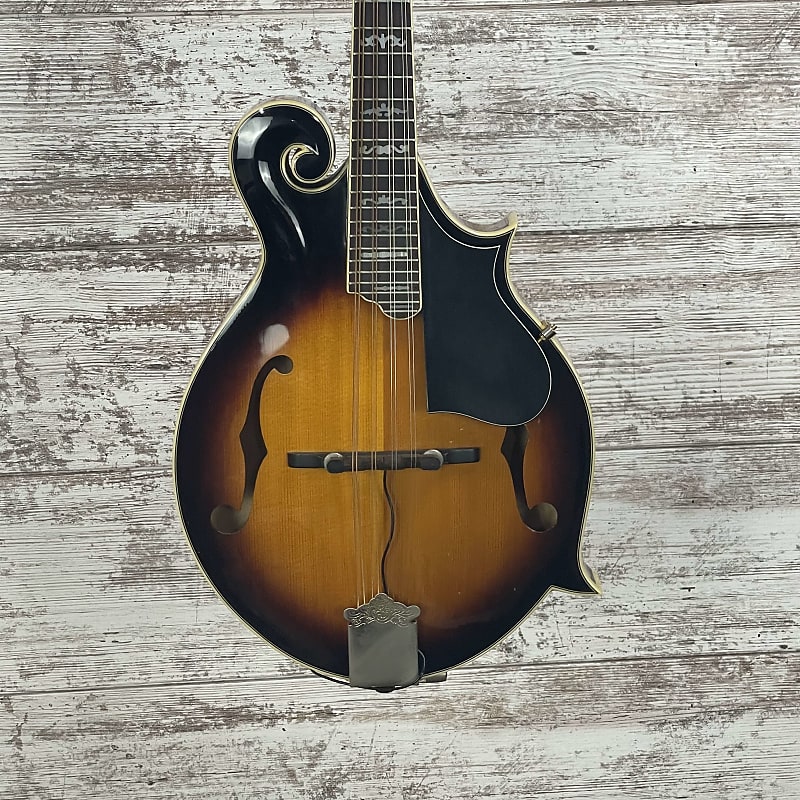 Alvarez A800 F Style Mandolin w/HSC | Reverb
