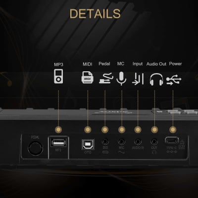 🎹88 Key Electric Piano / Keyboard +USB +MIDI +Microphone!🎹 | Reverb