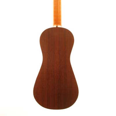 Marian Herrera Pina baroque guitar - beautiful handmade | Reverb