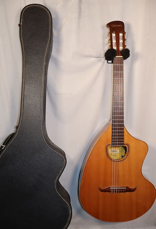 Gianini Craviola AWN6 Nylon String Classical Acoustic Guitar | Reverb