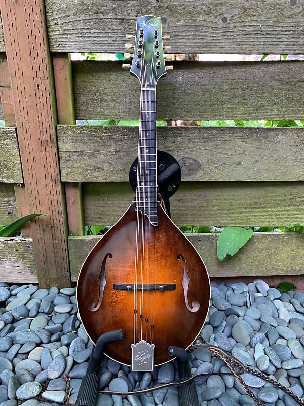 2012 Voight A5 Mandolin | Reverb