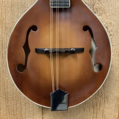 Collings MT A-Style Mandolin w/pick-up and original hard | Reverb