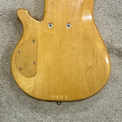 Langlois 8 String Extended-Range Bass - Unique, with Flight | Reverb