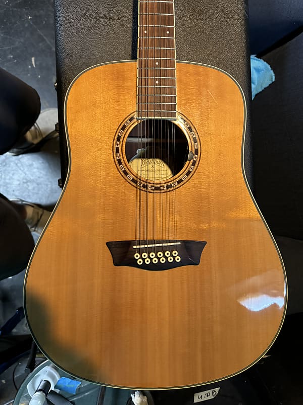 Washburn 12 string with hard case | Reverb