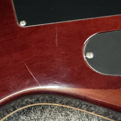 PRS Custom 24 Bird Inlays 10 Top 2014 - Tortoise Shell | Reverb