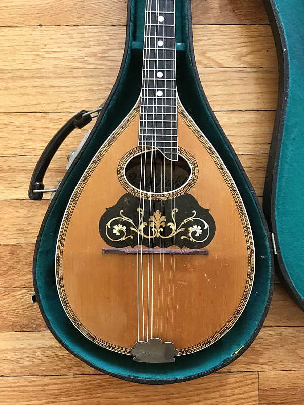 Vintage Wm. Stahl Larson Brothers Mandolin 1915-1920 | Reverb