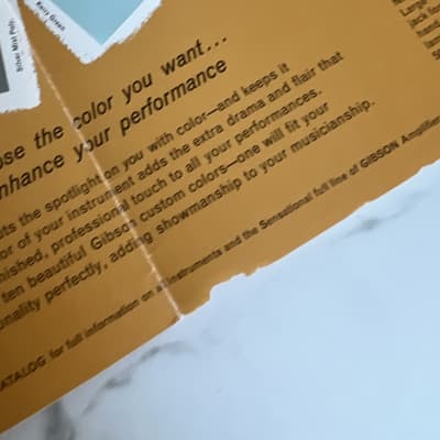 Circa 1964 Gibson Thunderbird Firebird Custom Color Chart | Reverb UK