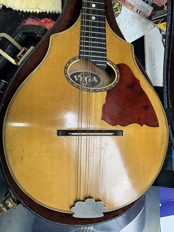 Vega Mandolin Cylinder Back Mandolin SR-11-105 1920's - | Reverb