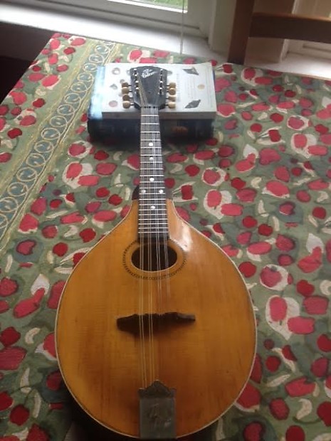 Gibson Mandolin A1 1920's Pumpkin | Reverb UK