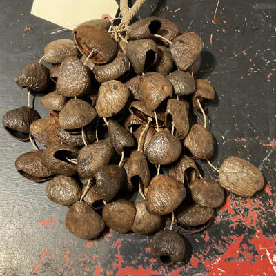 Kluwak 30 Seed Shaker | Reverb