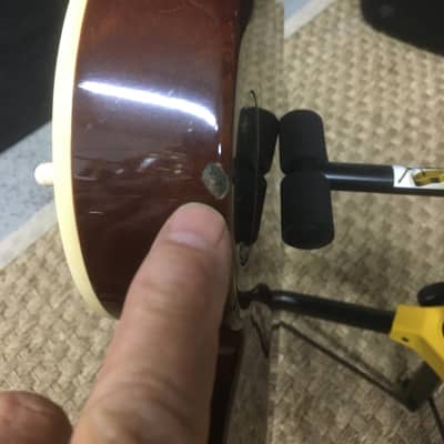 Aria Pro II Custom | Reverb