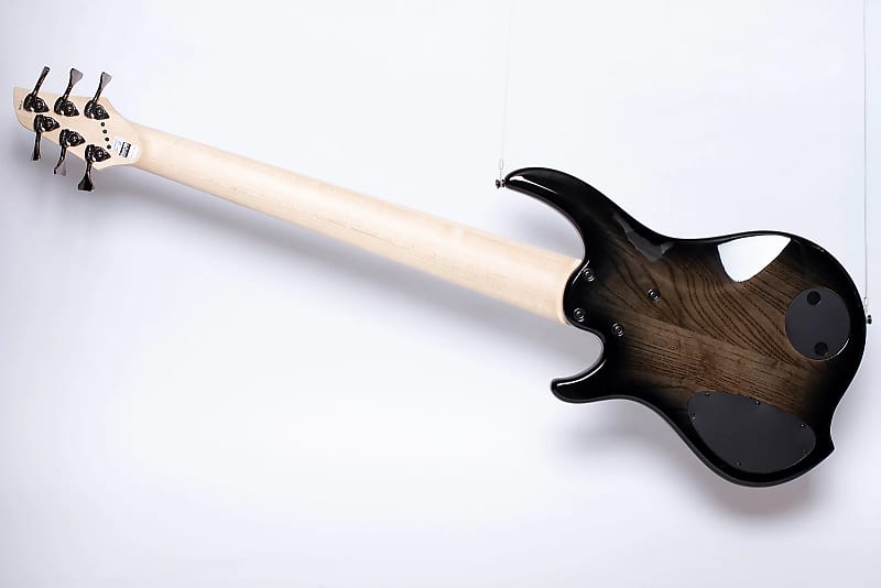 Dingwall Combustion 6 | Reverb